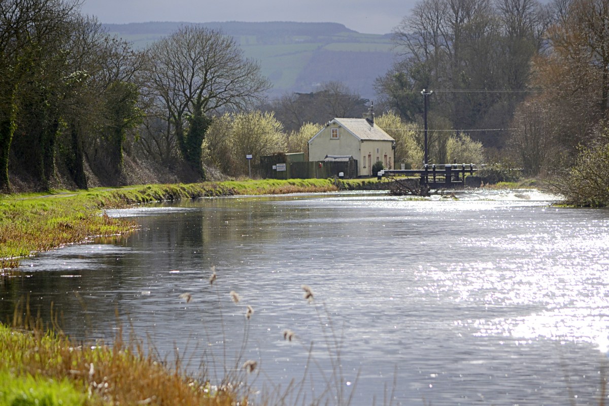 The Barrow Way: Athy to Carlow – Hike Cycle Ireland