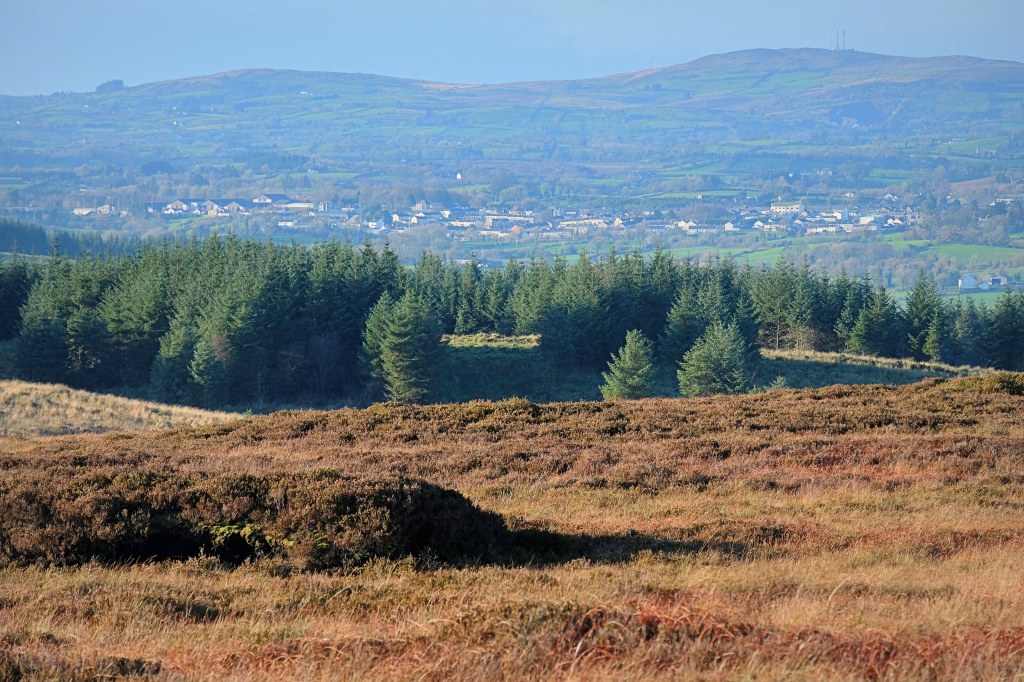 Slieve Beagh: Crocknagrally Forest Loop (and Detours) – Hike Cycle Ireland