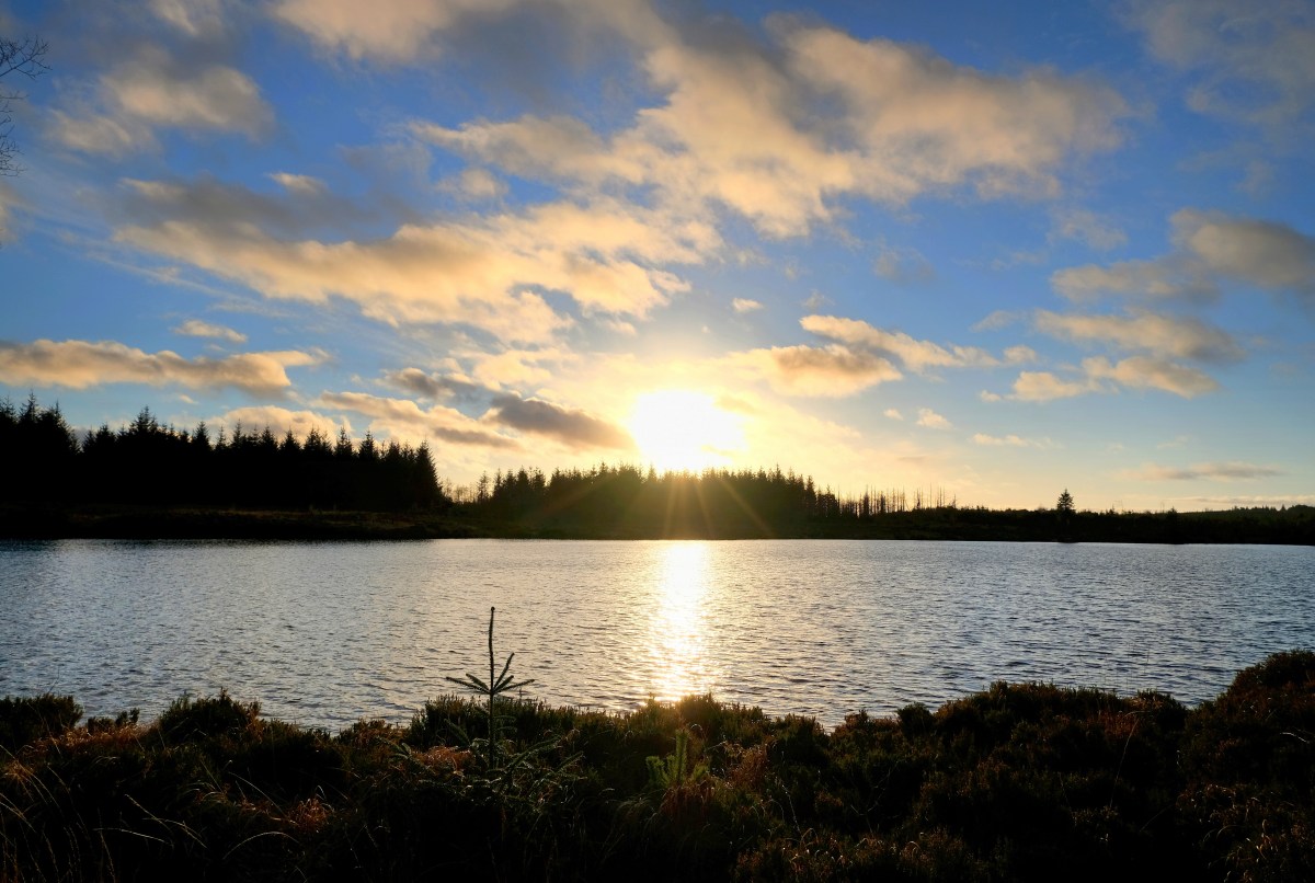 Slieve Beagh: Crocknagrally Forest Loop (and Detours) – Hike Cycle Ireland